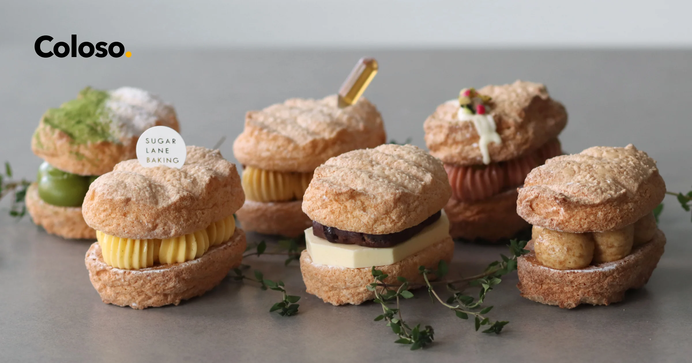 [asset] 퐁신퐁신 다쿠아즈 마스터 | Coloso.